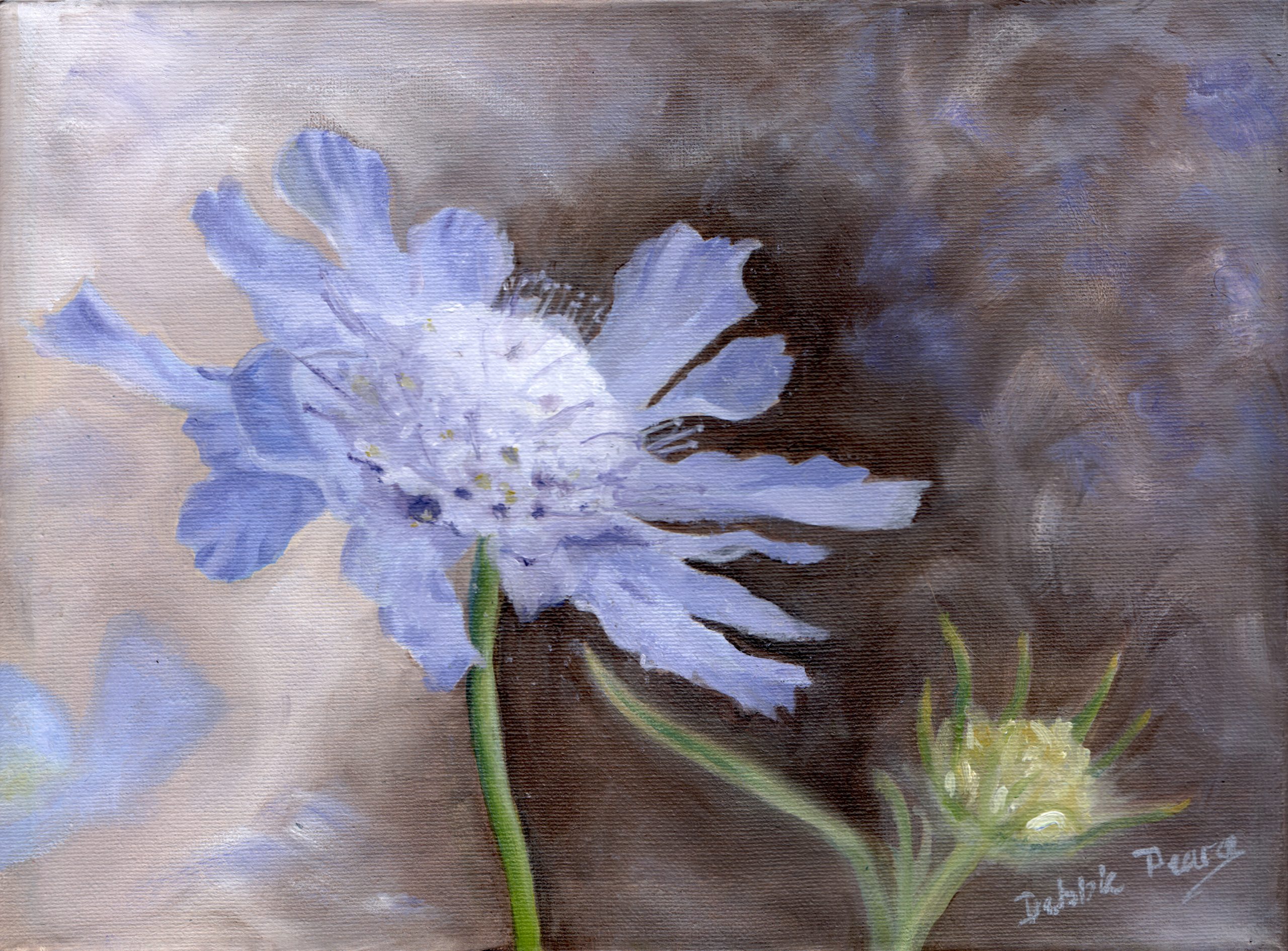 Art Gallery – Debbie Pearce Art