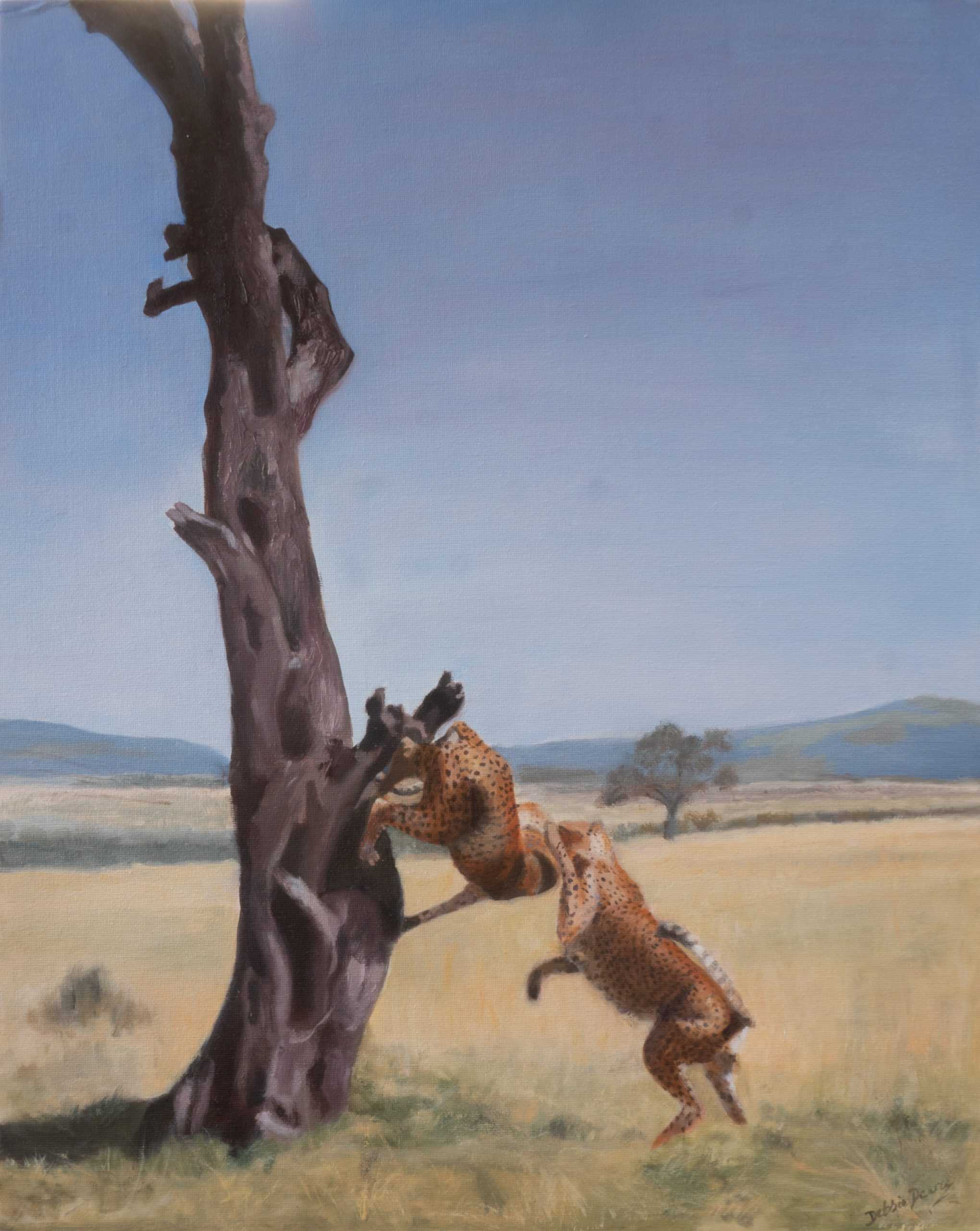 Art Gallery – Debbie Pearce Art